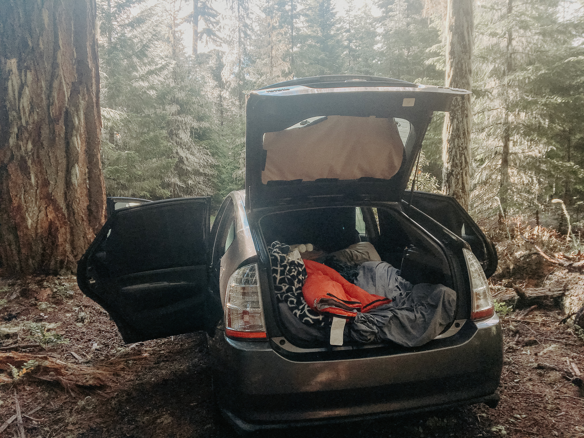 How We Took a 3-Week Cross-Country Road Trip for Only $1500: Budget ...